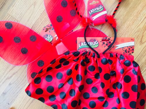 Dollar Tree Halloween Costume Ideas Glitter On A Dime