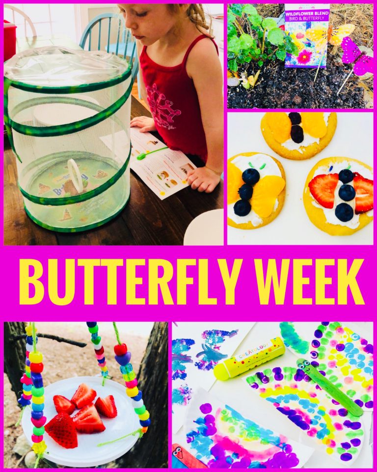 Butterfly Week Crafts & Activities for Kids - Glitter On A Dime