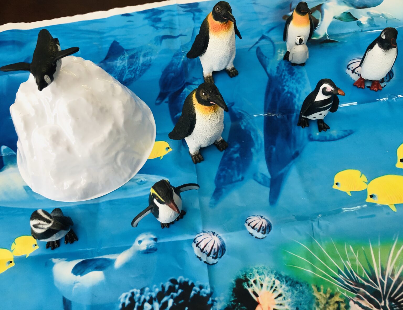 Penguin Week Summer Camp Activities - Glitter On A Dime
