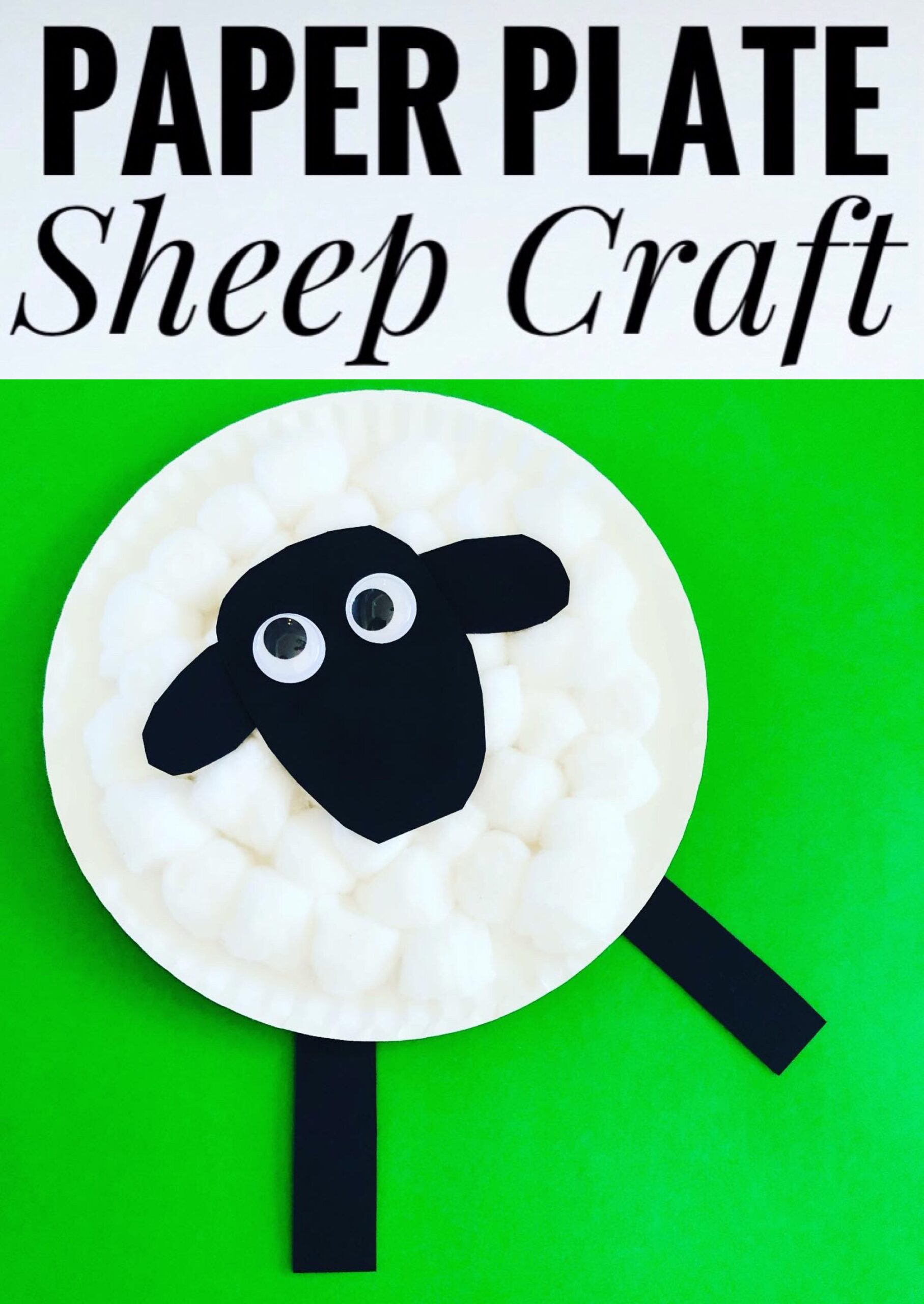 Paper Plate Sheep Craft and Little Ewe Book Review - Glitter On A Dime
