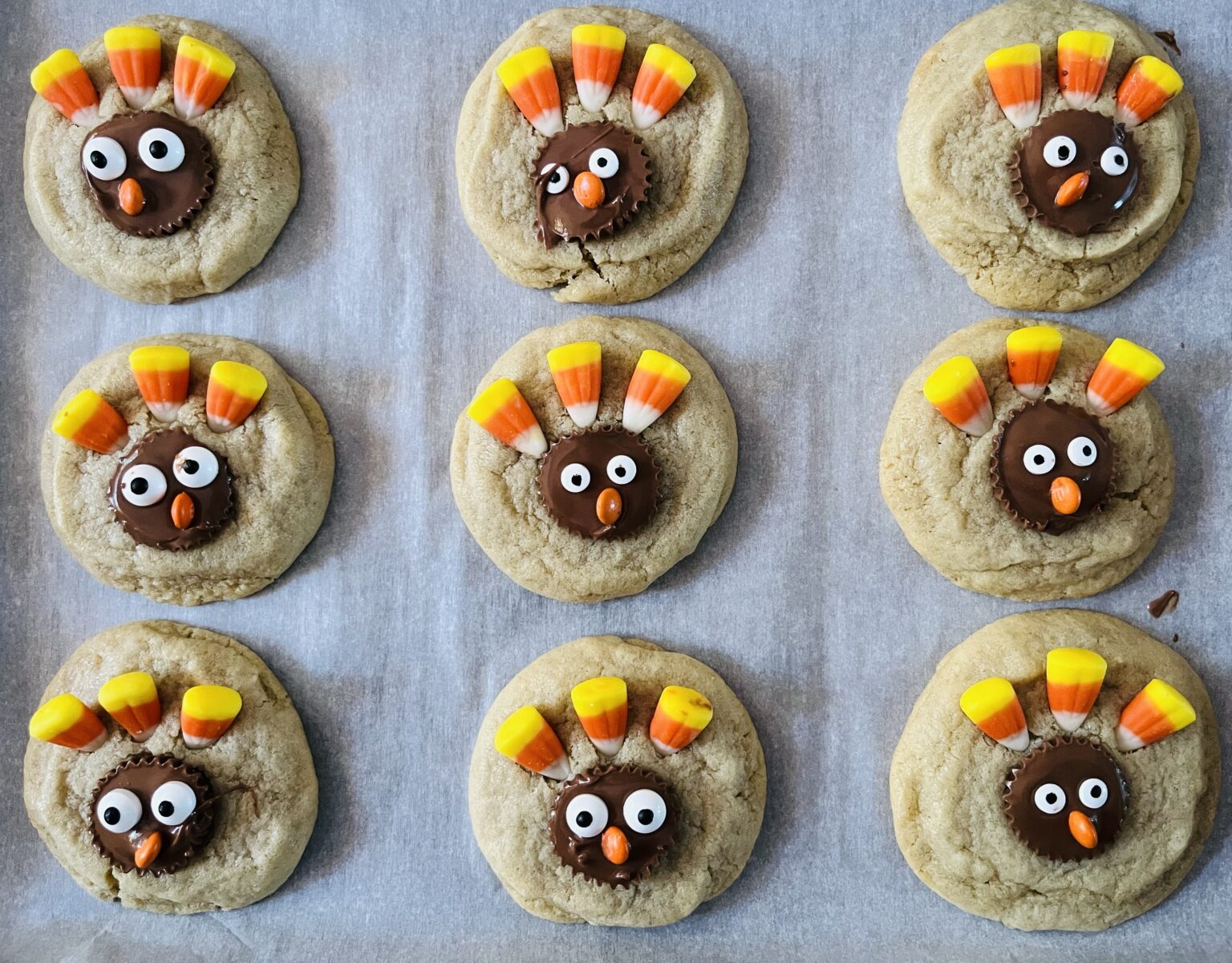 Cute and Easy Turkey Cookies for Kids - Glitter On A Dime